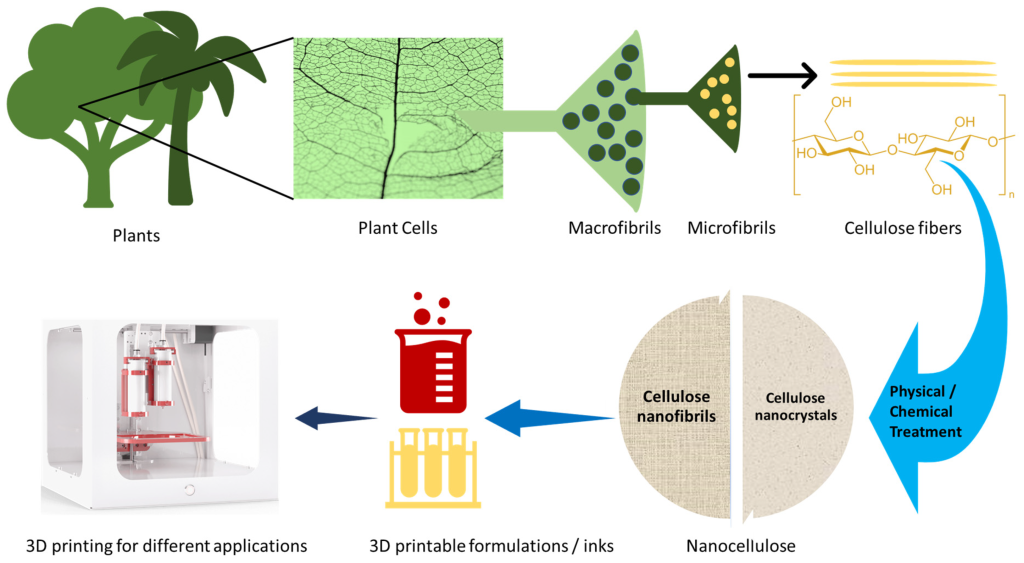 Nanocrystalline cellulose (NCC): A Promising Material for Sustainable ...