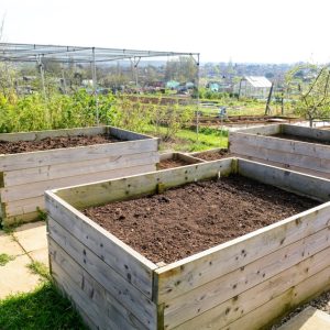 How To Build Raised Garden Beds - Architecture Adrenaline