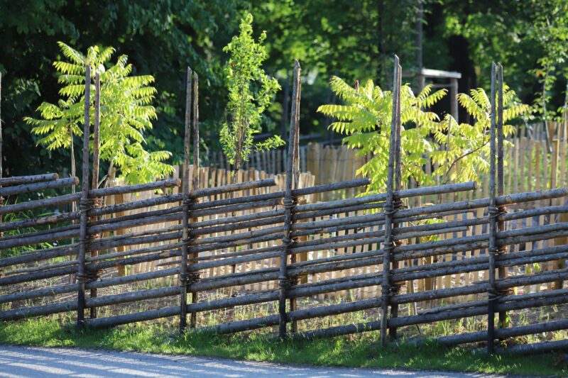 Badger Fence: An In-Depth Review for Effective Wildlife Control ...