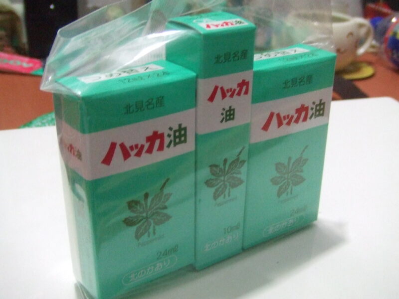 How To Use Peppermint Oil For Bed Bugs